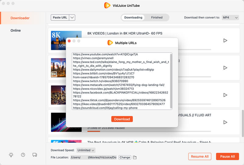 Download Gayporn Downloader